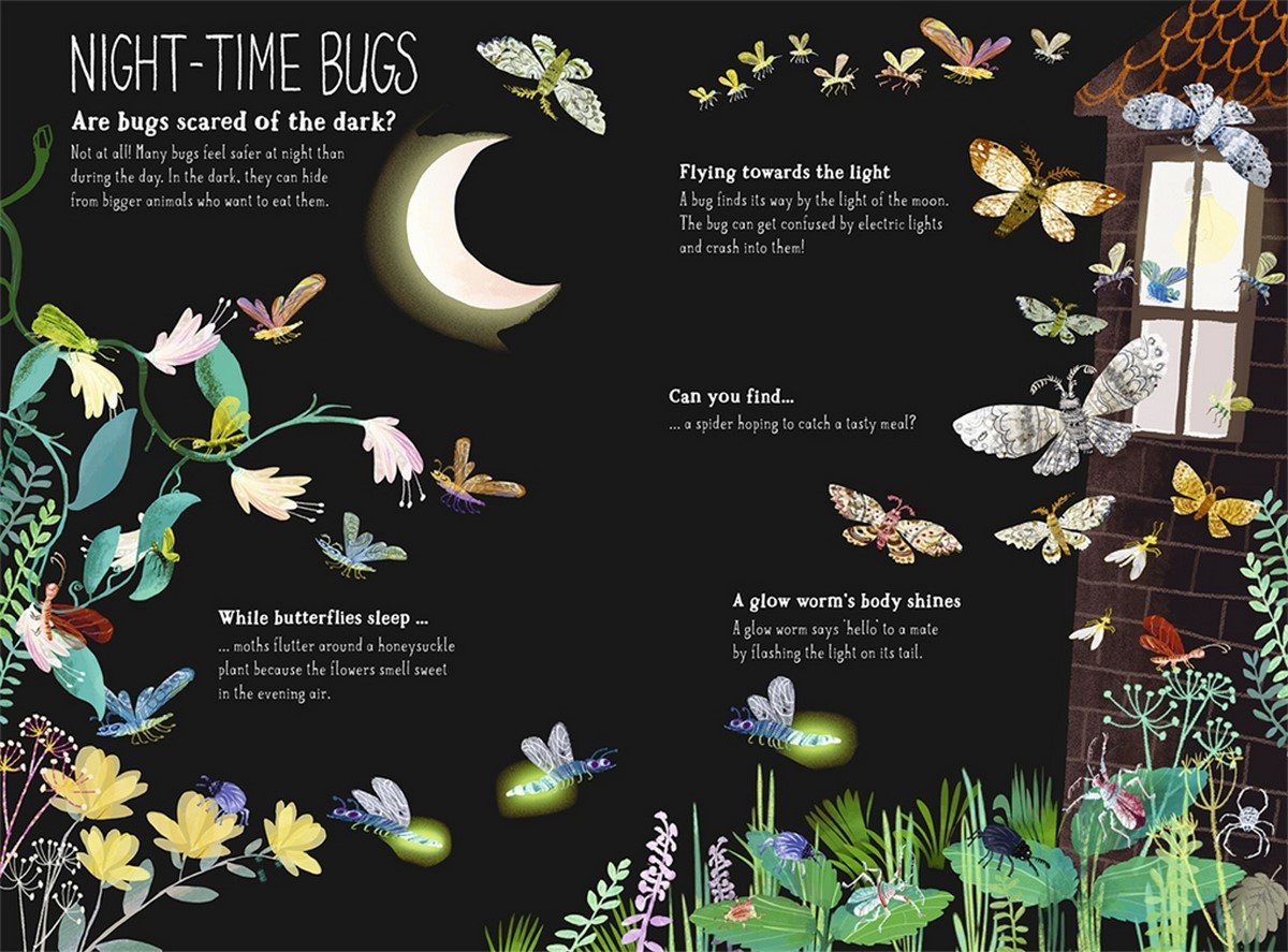 The Big Book of Bugs by Yuval Zommer | The Big Book series ...