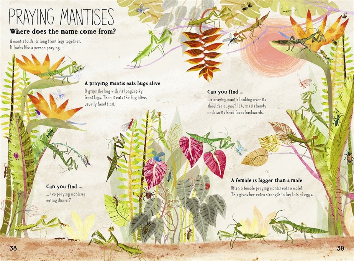 The Big Book of Bugs by Yuval Zommer | The Big Book series ...