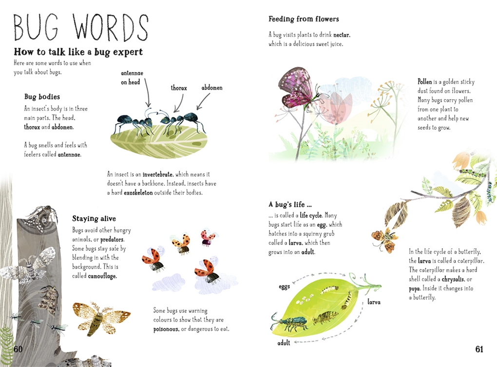 The Big Book of Bugs, The Big Book series by Yuval Zommer ...