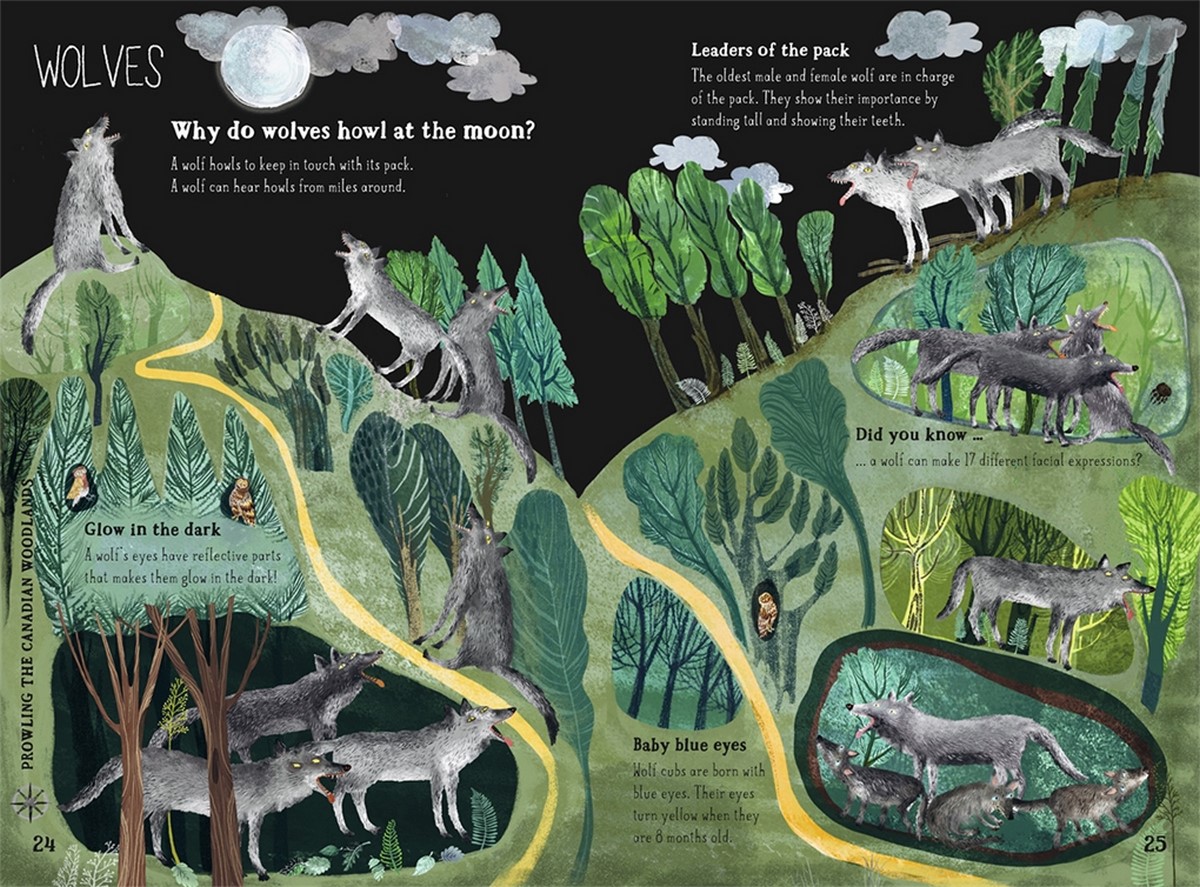 The Big Book of Beasts, The Big Book series by Yuval Zommer ...