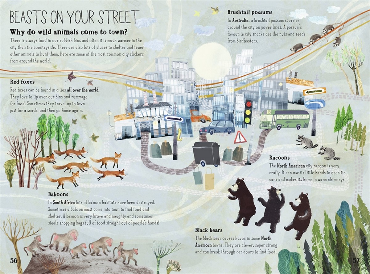 The Big Book of Beasts, The Big Book series by Yuval Zommer ...