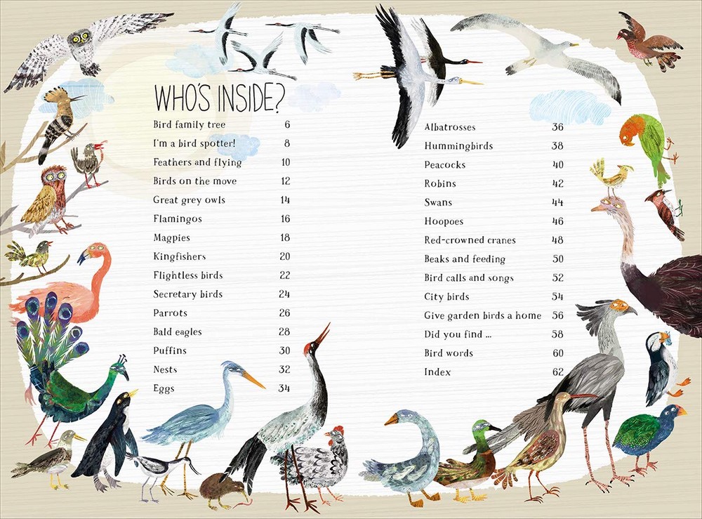 The Big Book of Birds, The Big Book series by Yuval Zommer ...