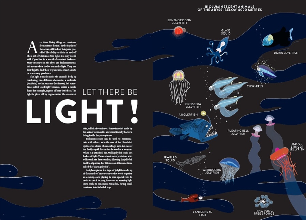 Ocean by Hélène Druvert | 9780500651773 | Booktopia