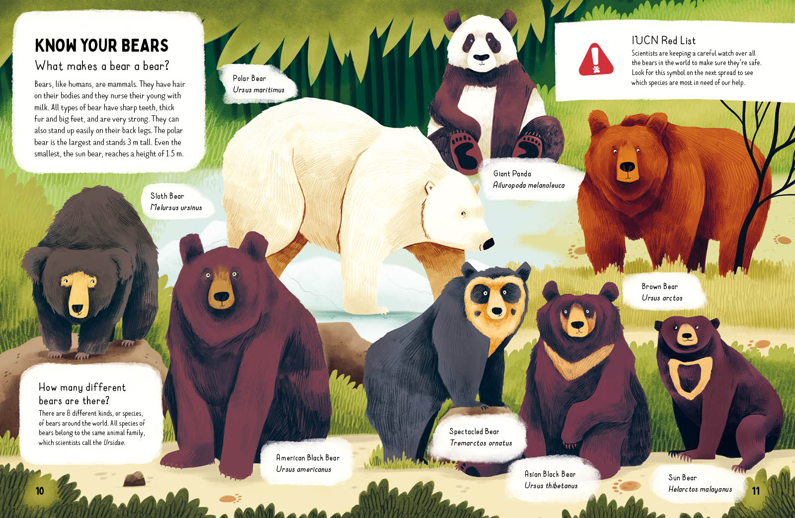 Do bears poop in the woods?, Go Wild by Huw Lewis Jones | 9780500652763 ...