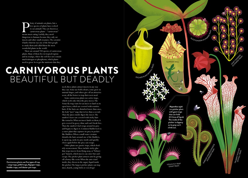 Plant Life by Hélène Druvert | 9780500653272 | Booktopia