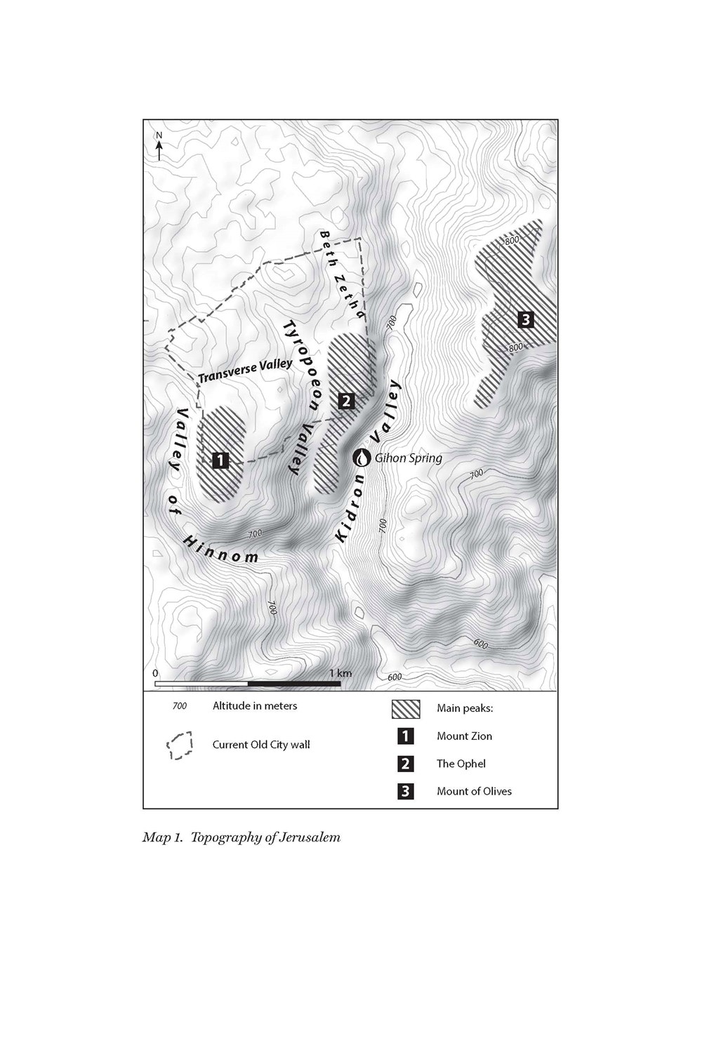 Jerusalem, History of a Global City by Vincent Lemire | 9780520299900 ...