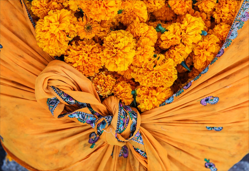 Patterns of India, A Journey Through Colors, Textiles, and the Vibrancy ...