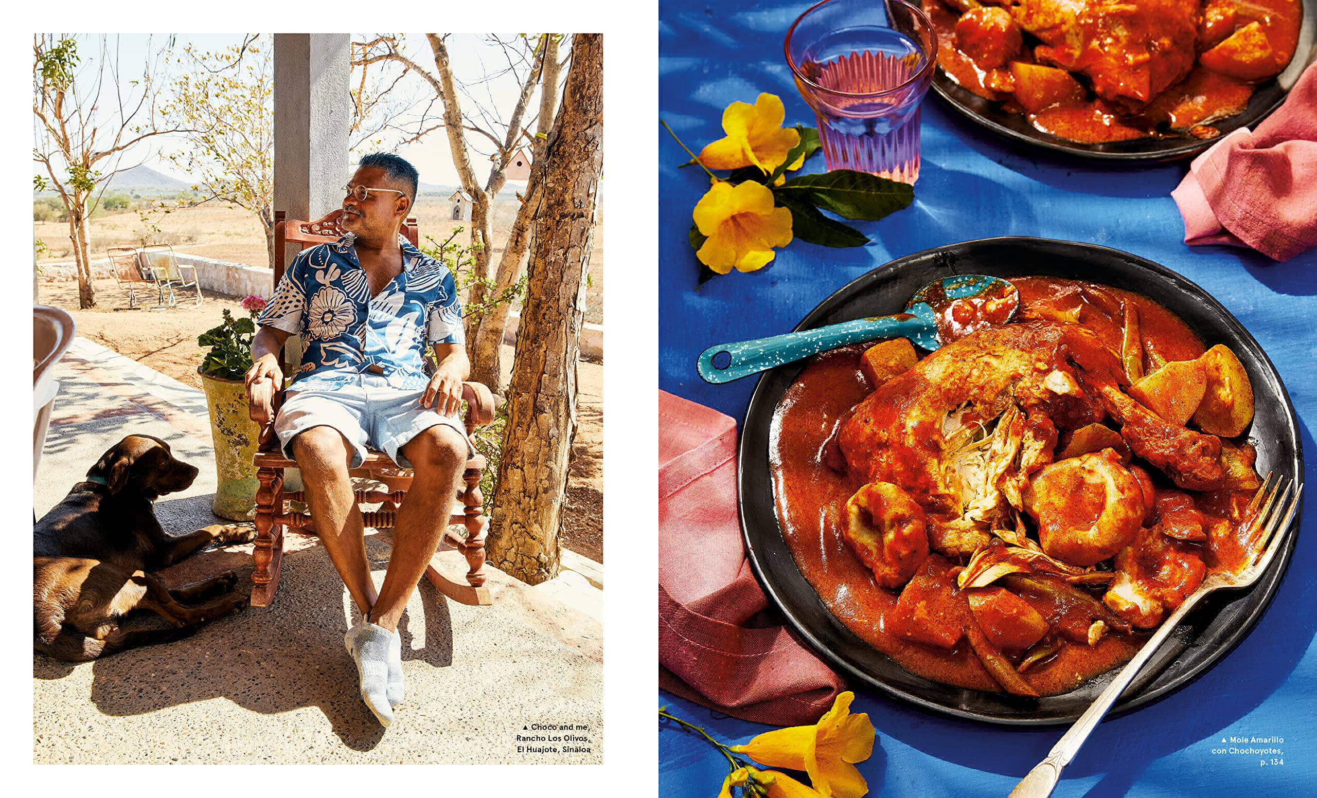 Mi Cocina, Recipes and Rapture from My Kitchen in Mexico: A Cookbook by ...