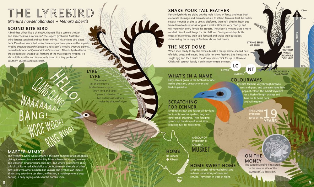 Fauna, Australia's Most Curious Creatures by Tania McCartney ...