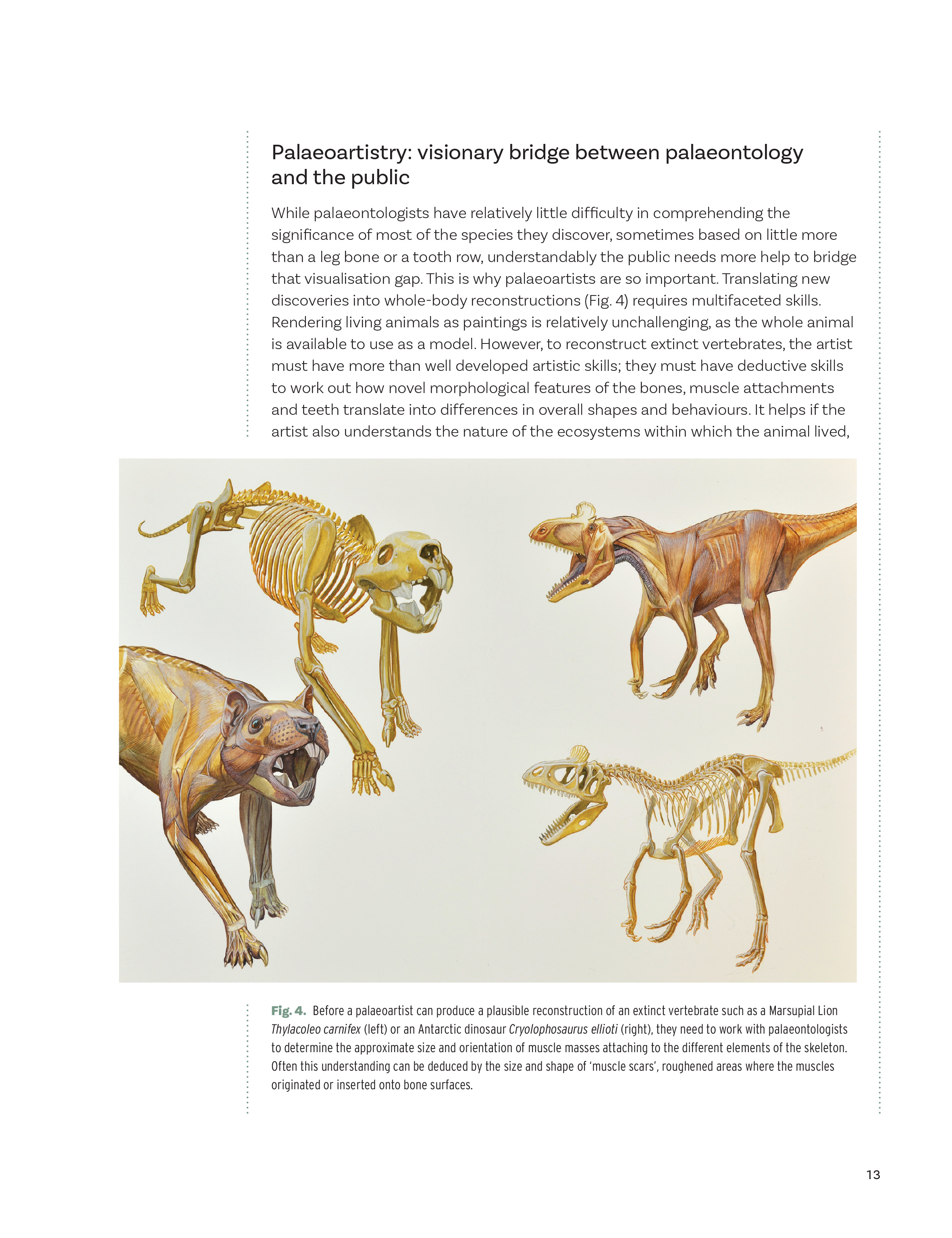 Prehistoric Australasia by Michael Archer | Visions of Evolution and ...