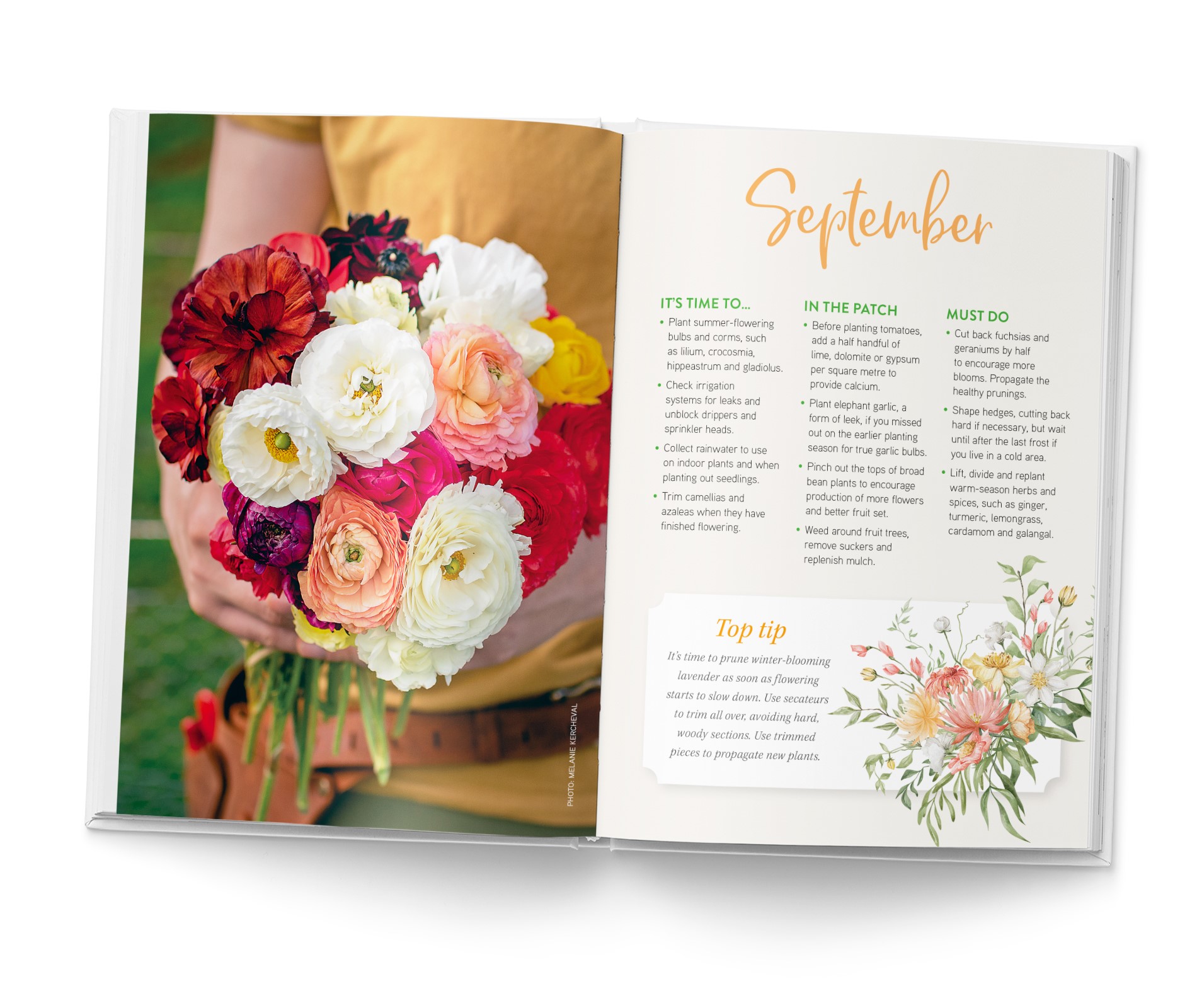 ABC Gardening Australia 2023 Diary by Jenni Powell | 9780645127362 ...