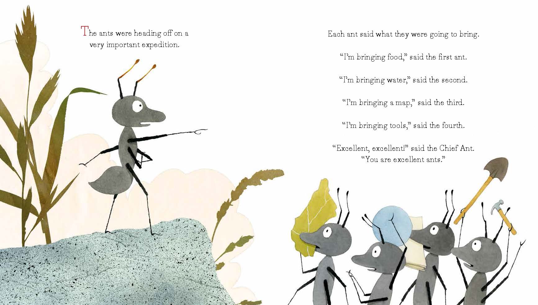 The March of the Ants, CBCA's Notable Early Childhood Book 2022 by ...