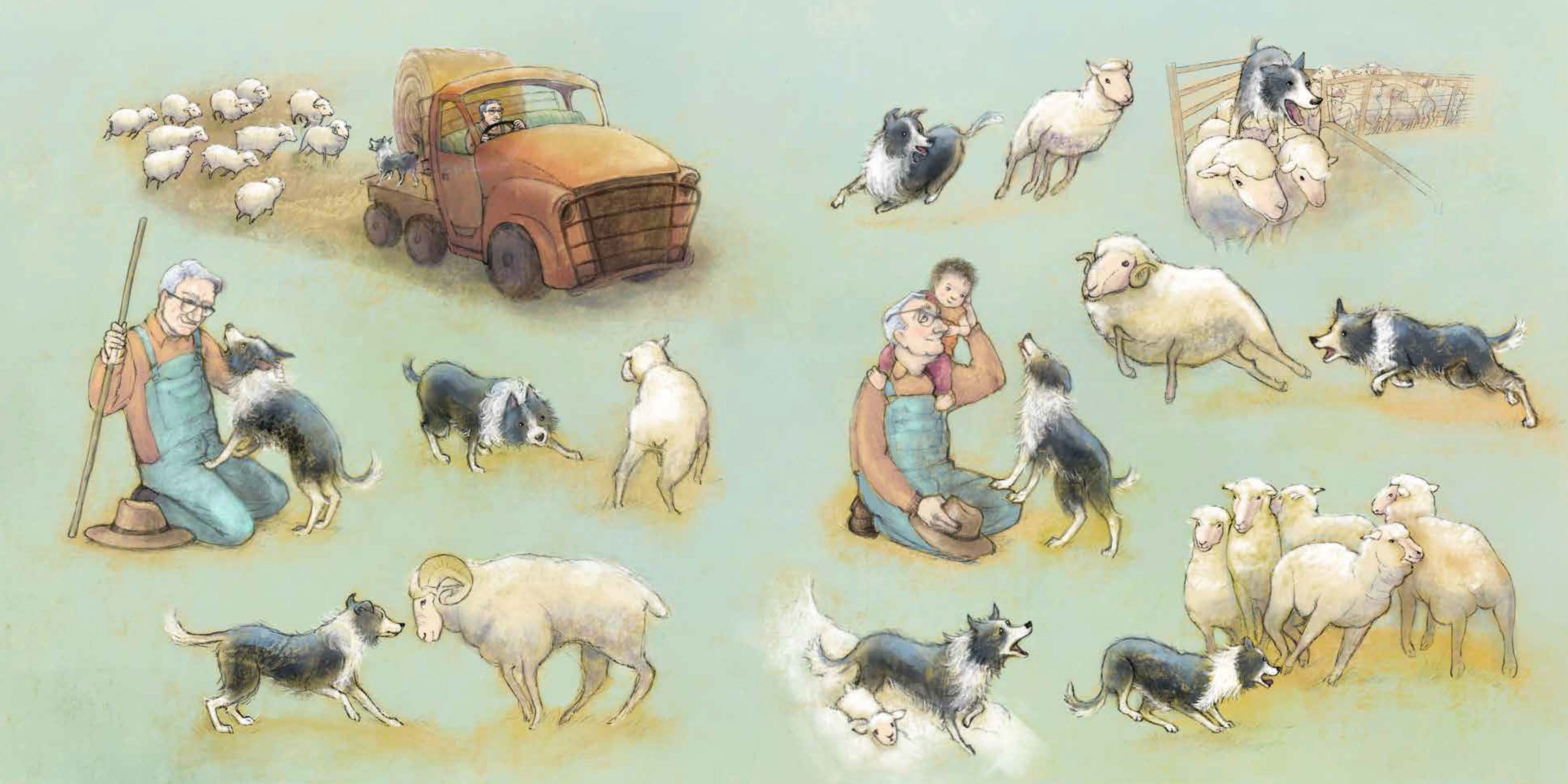 Buster Follows His Nose by Paula Stevenson | 9780648964070 | Booktopia