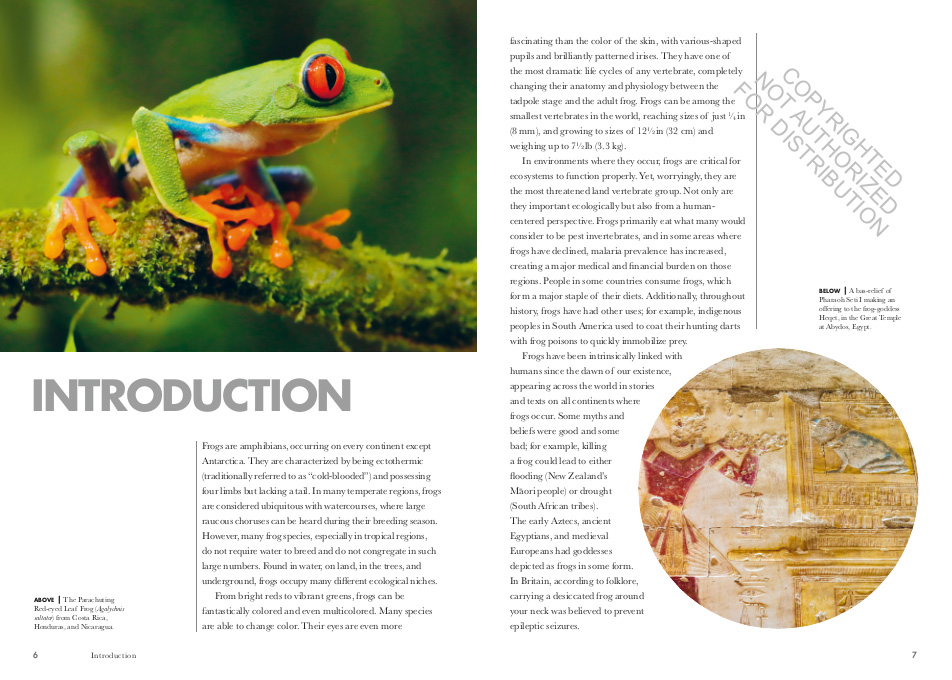 Frogs of the World by Mark O'Shea | A Guide to Every Family ...