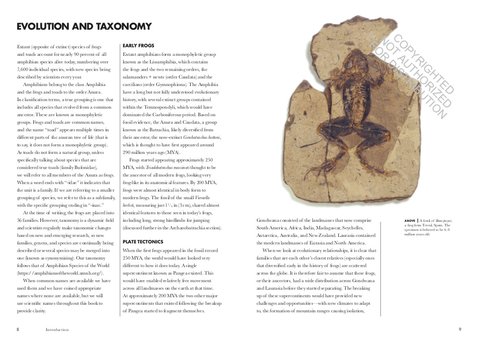 Frogs of the World by Mark O'Shea | A Guide to Every Family ...