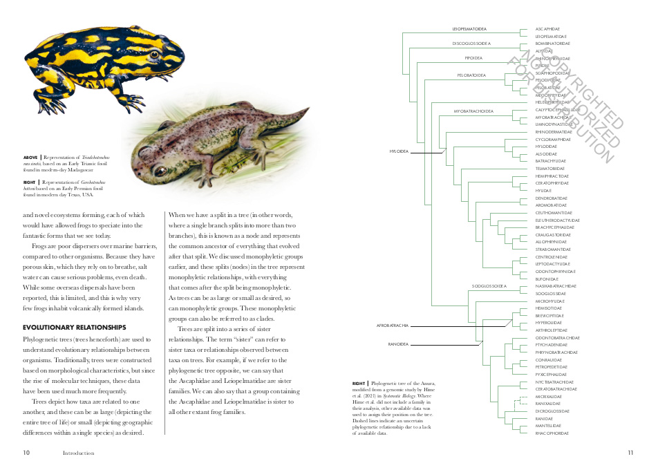 Frogs of the World by Mark O'Shea | A Guide to Every Family ...