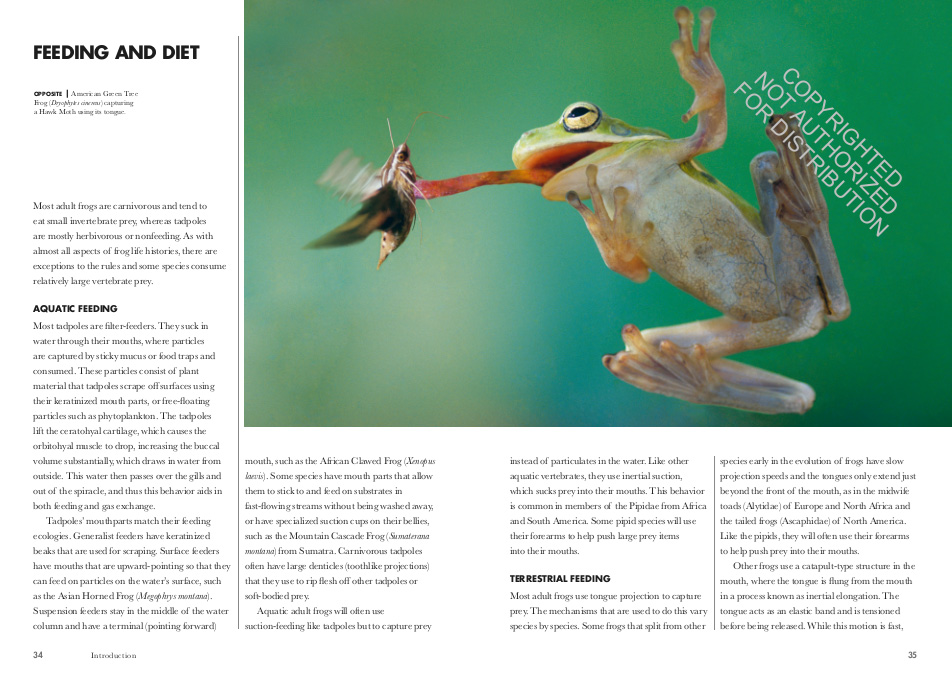 Frogs of the World by Mark O'Shea | A Guide to Every Family ...