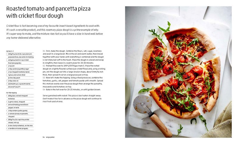 Eat Grub, The Ultimate Insect Cookbook by Shami Radia | 9780711236943 ...