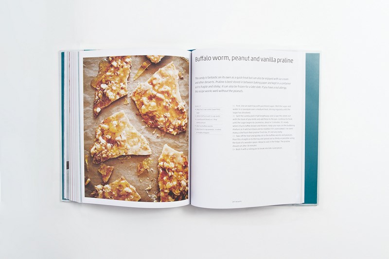 Eat Grub, The Ultimate Insect Cookbook by Shami Radia | 9780711236943 ...