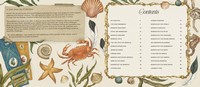A Natural History of Mermaids by Emily Hawkins | 9780711266490 | Booktopia