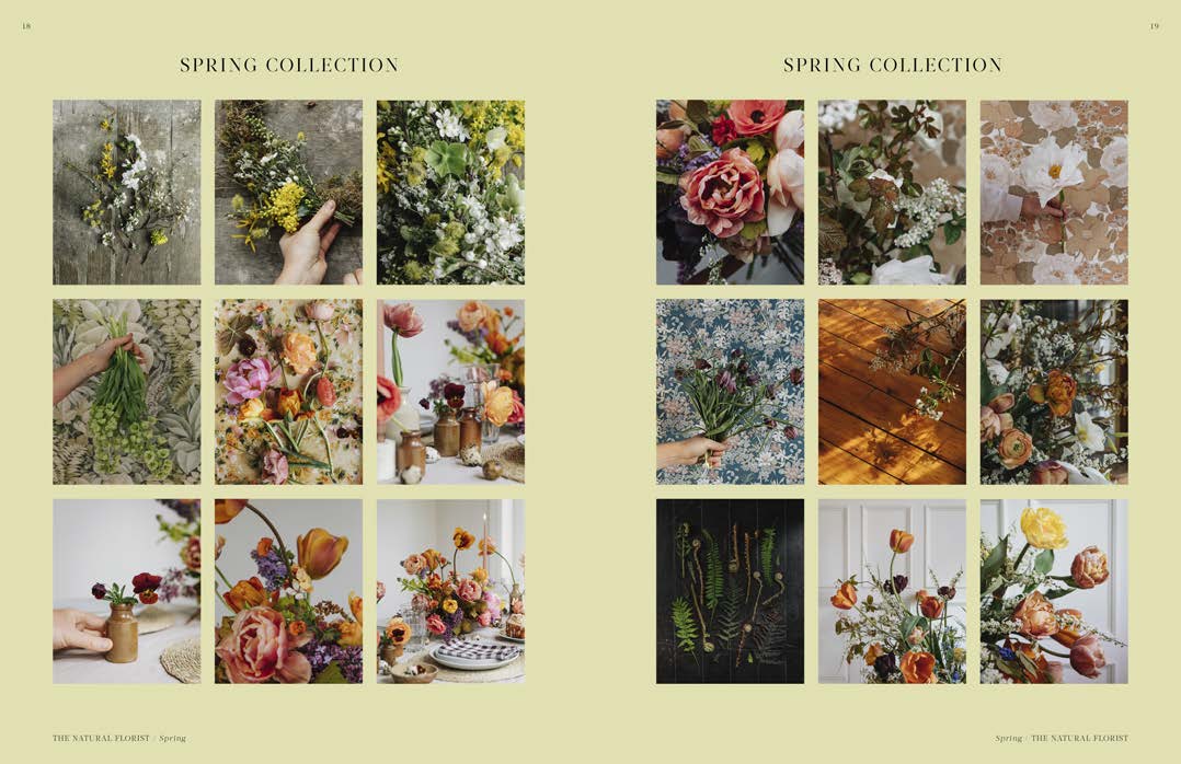 Flower Philosophy, Seasonal projects to inspire & restore by Anna Potter | 9780711268579 | Booktopia