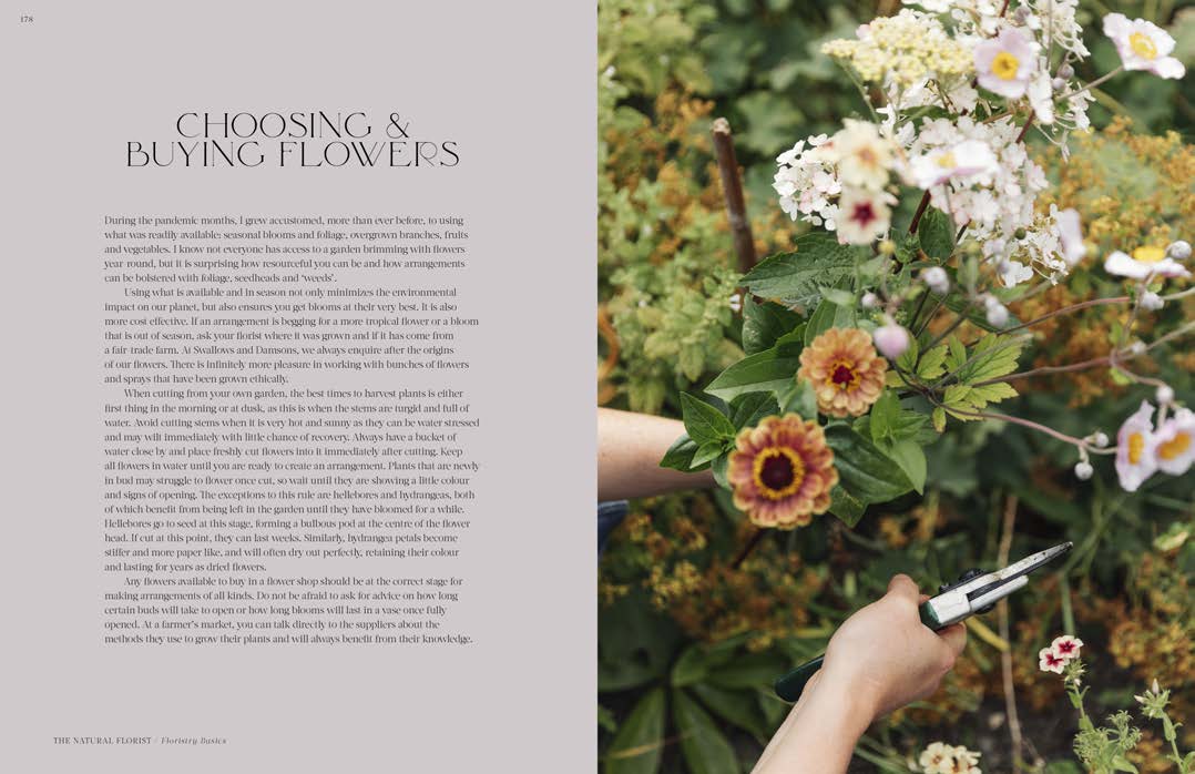 Flower Philosophy, Seasonal projects to inspire & restore by Anna Potter | 9780711268579 | Booktopia