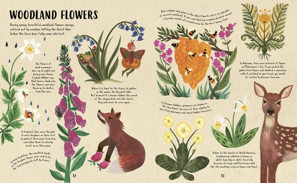 Lore of the Land, Folklore & Wisdom from the Wild Earth by Claire Cock ...