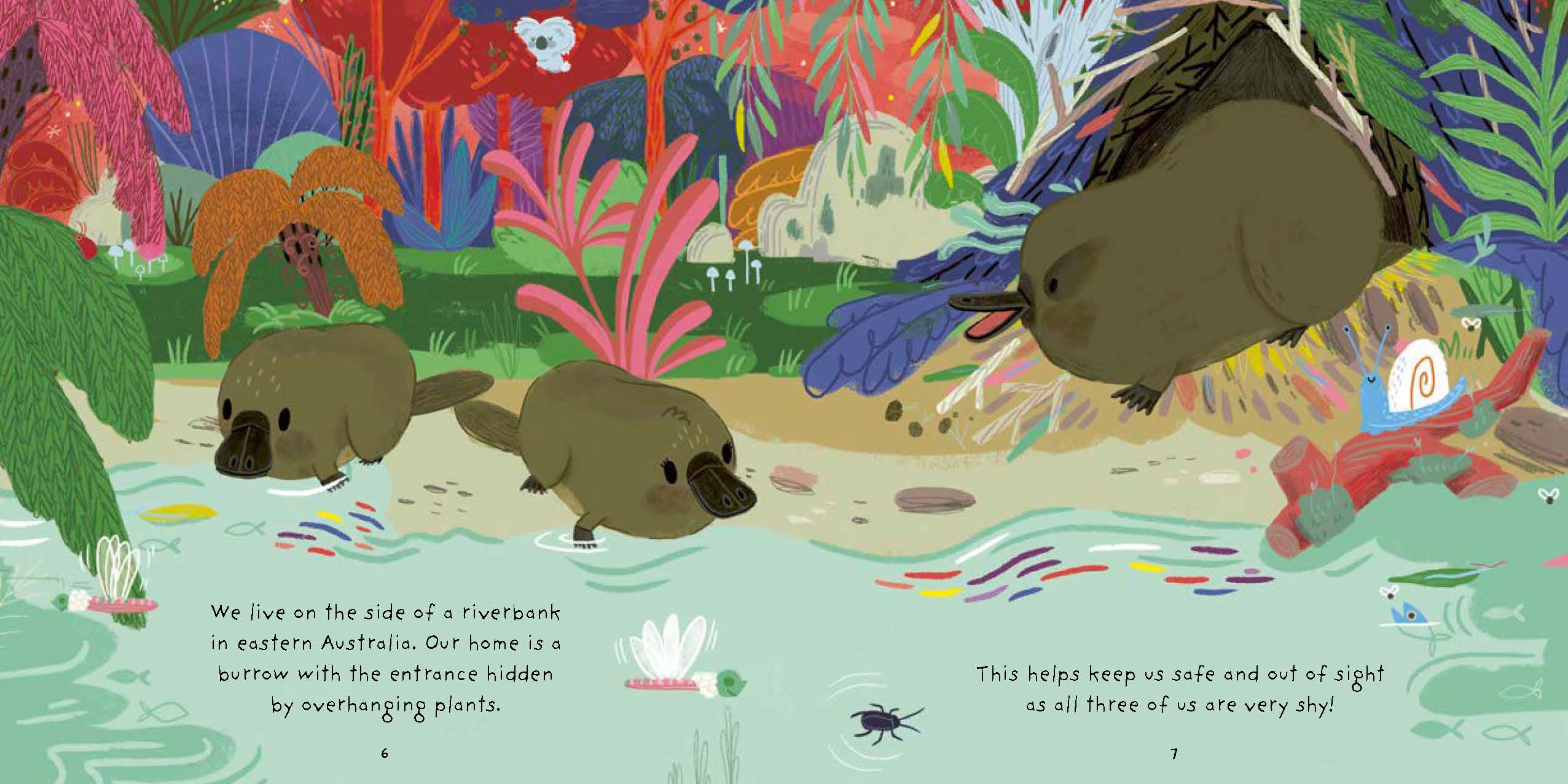 Little Platypus, A Day in the Life of a Platypus Puggle by Anna Brett ...