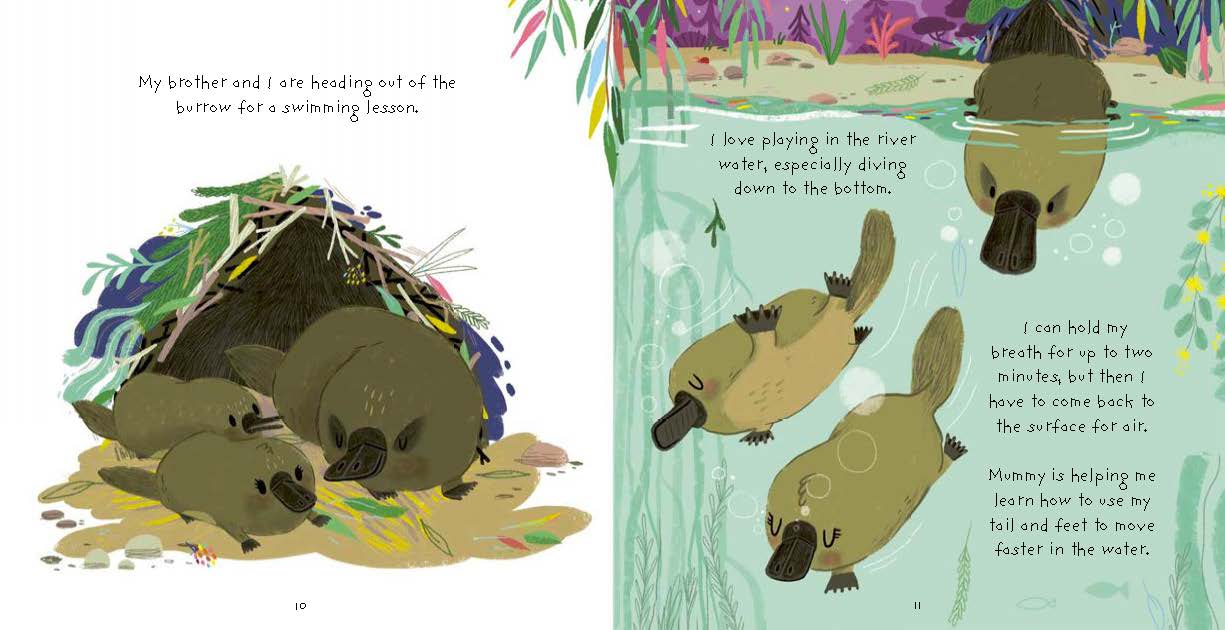 Little Platypus, A Day in the Life of a Platypus Puggle by Anna Brett ...