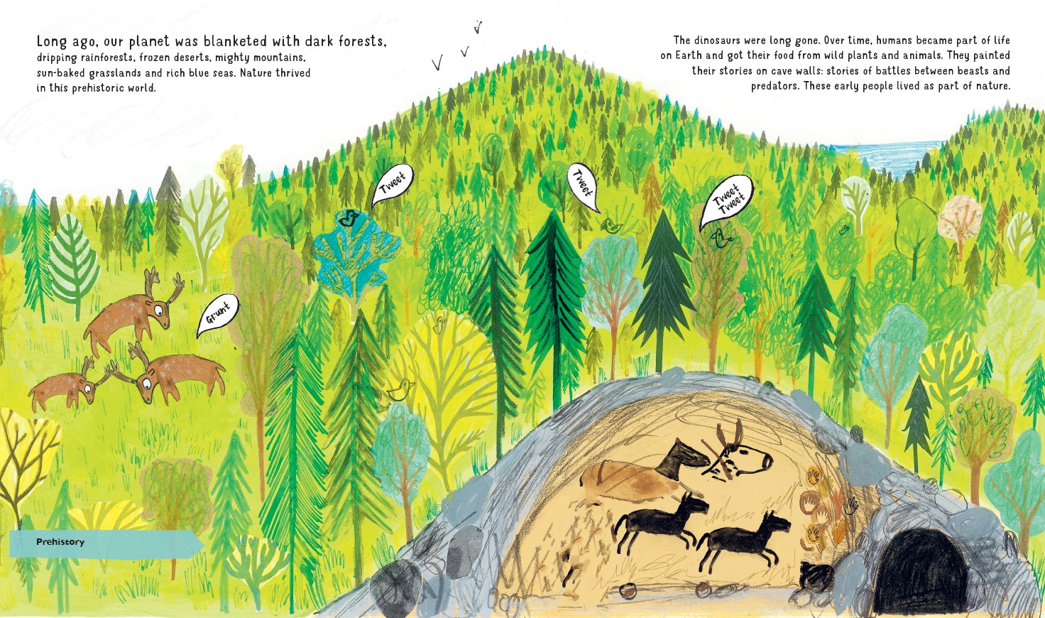 The Story of Conservation, A first book about protecting nature by ...
