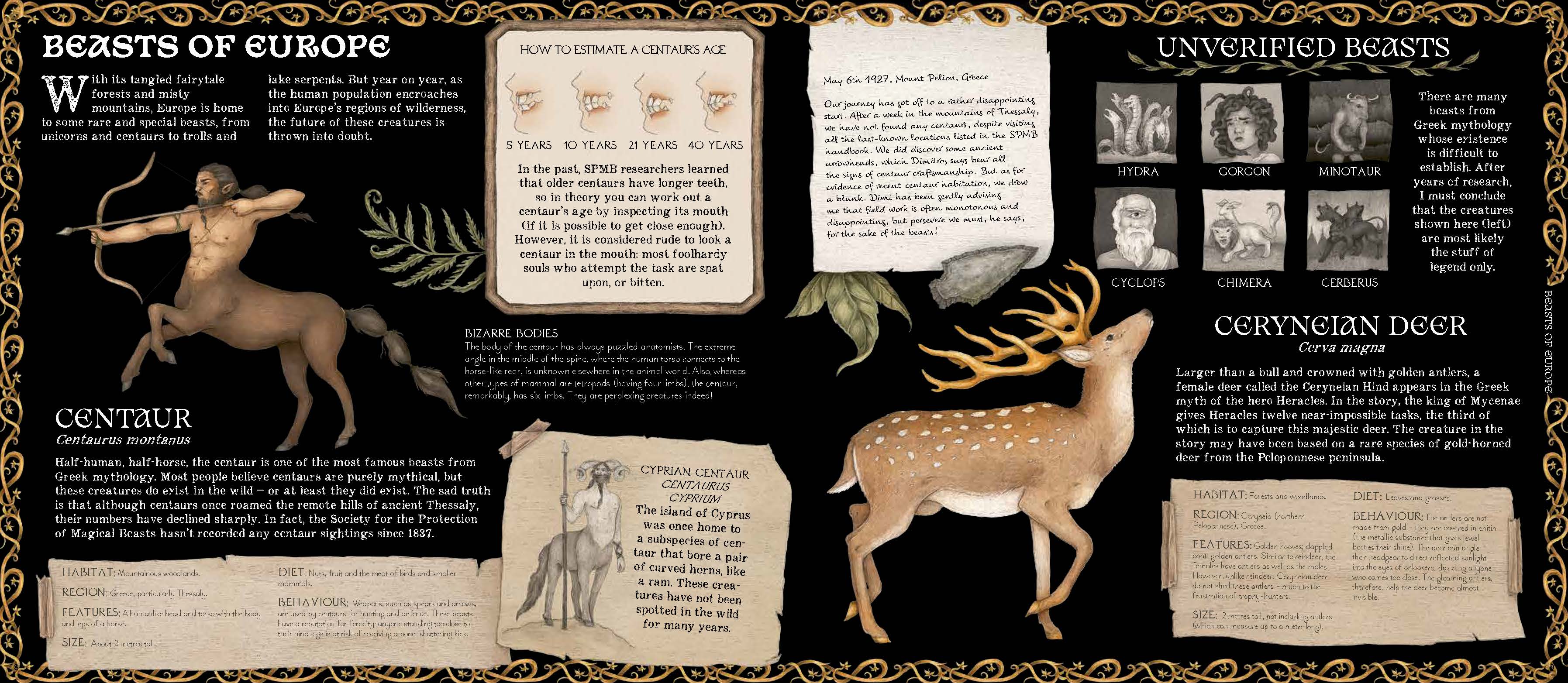 A Natural History of Magical Beasts by Emily Hawkins | 9780711278806 ...
