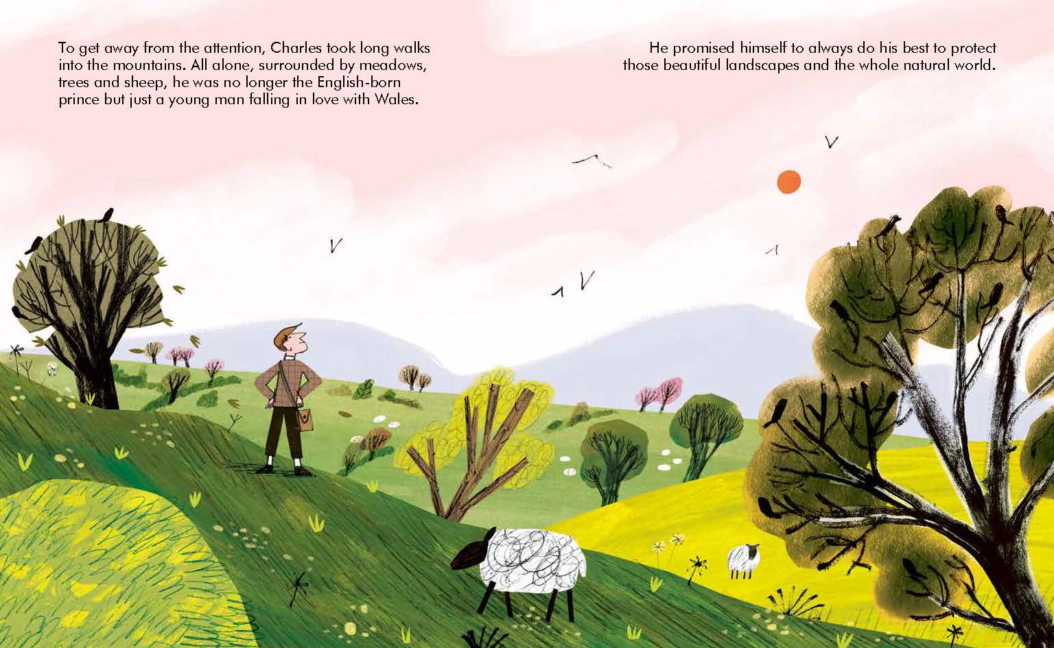 King Charles (Little People, Big Dreams) by Maria Isabel Sanchez Vegara ...