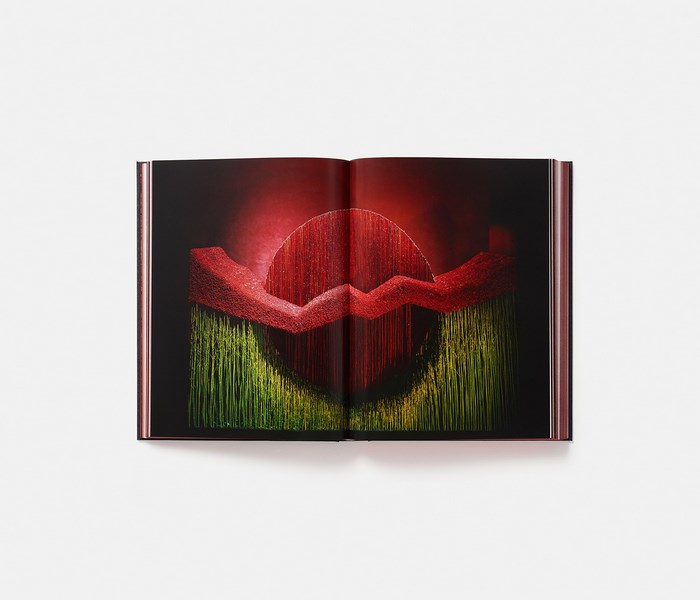 Daniel Ost by Paul Geerts | 9780714870526 | Booktopia