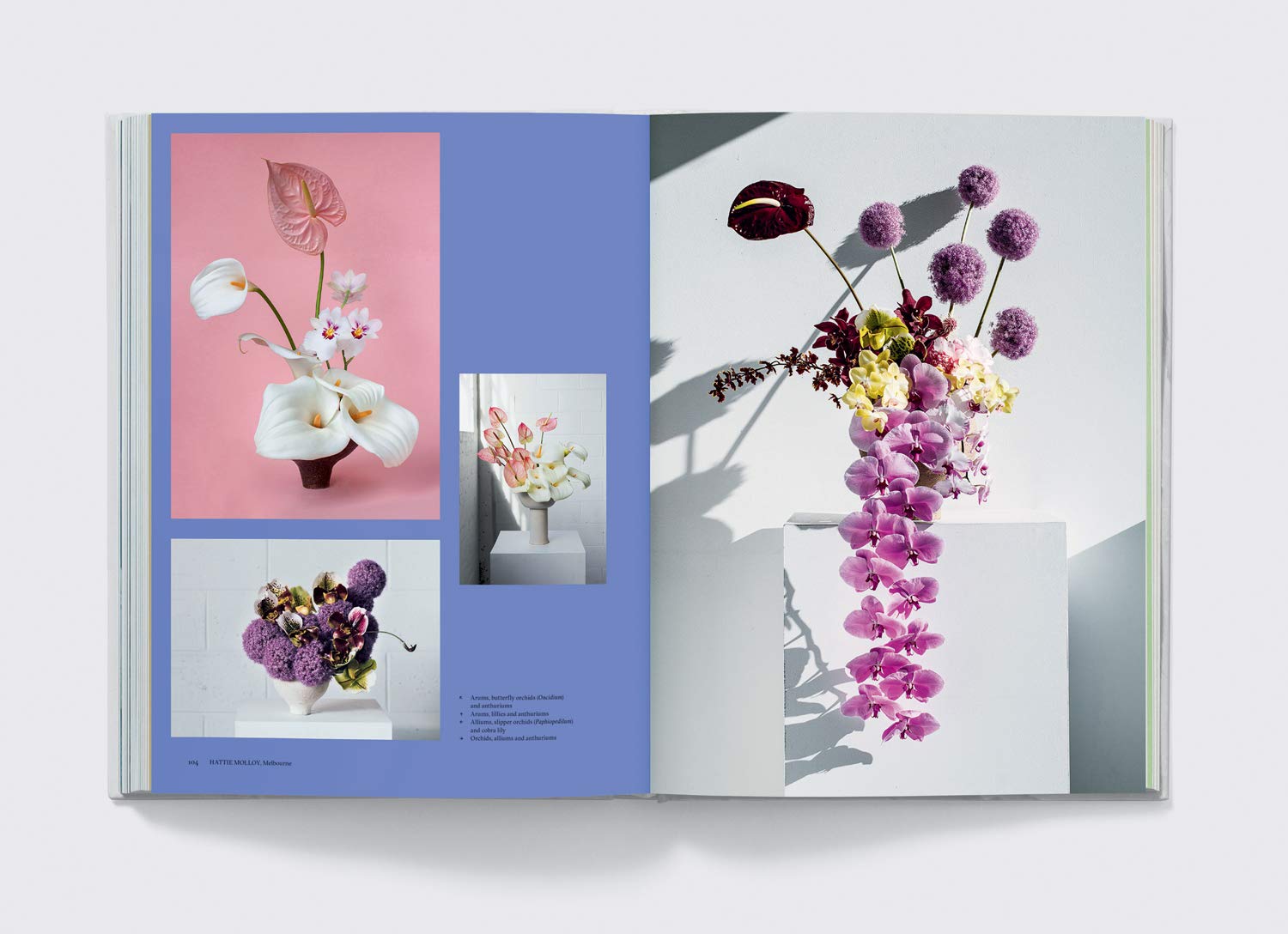 Blooms, Contemporary Floral Design by Phaidon Editors | 9780714878591 ...