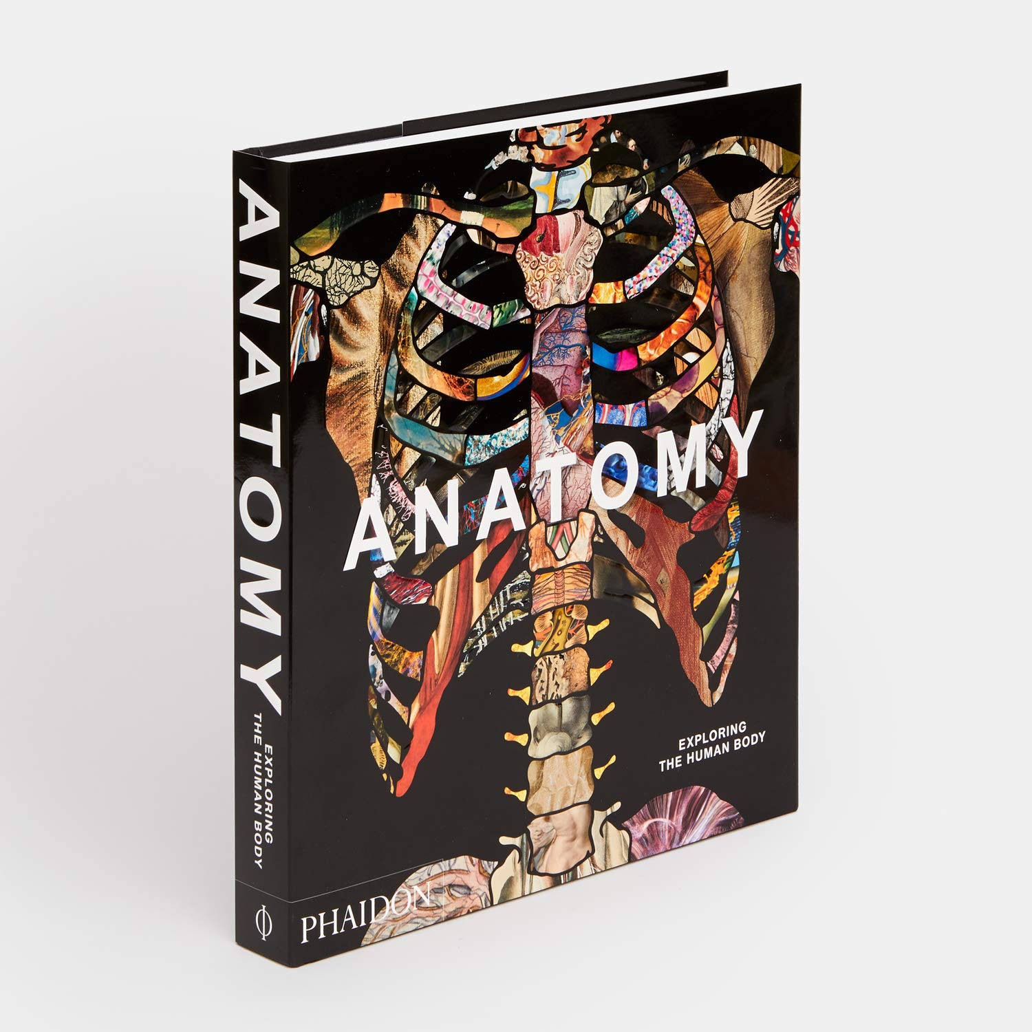 Anatomy by Phaidon Editors | Exploring the Human Body | 9780714879888 ...