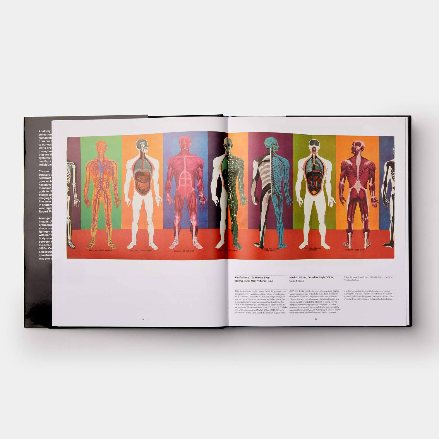 Anatomy by Phaidon Editors | Exploring the Human Body | 9780714879888 ...