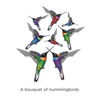 A Flamboyance of Flamingos by Jennifer Cossins | 9780734419859 | Booktopia