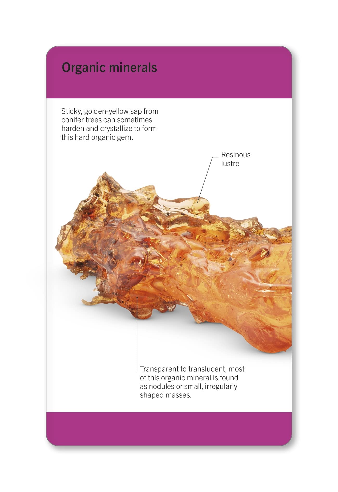 Our World in Pictures Rocks and Minerals Flash Cards, DK Our World in ...