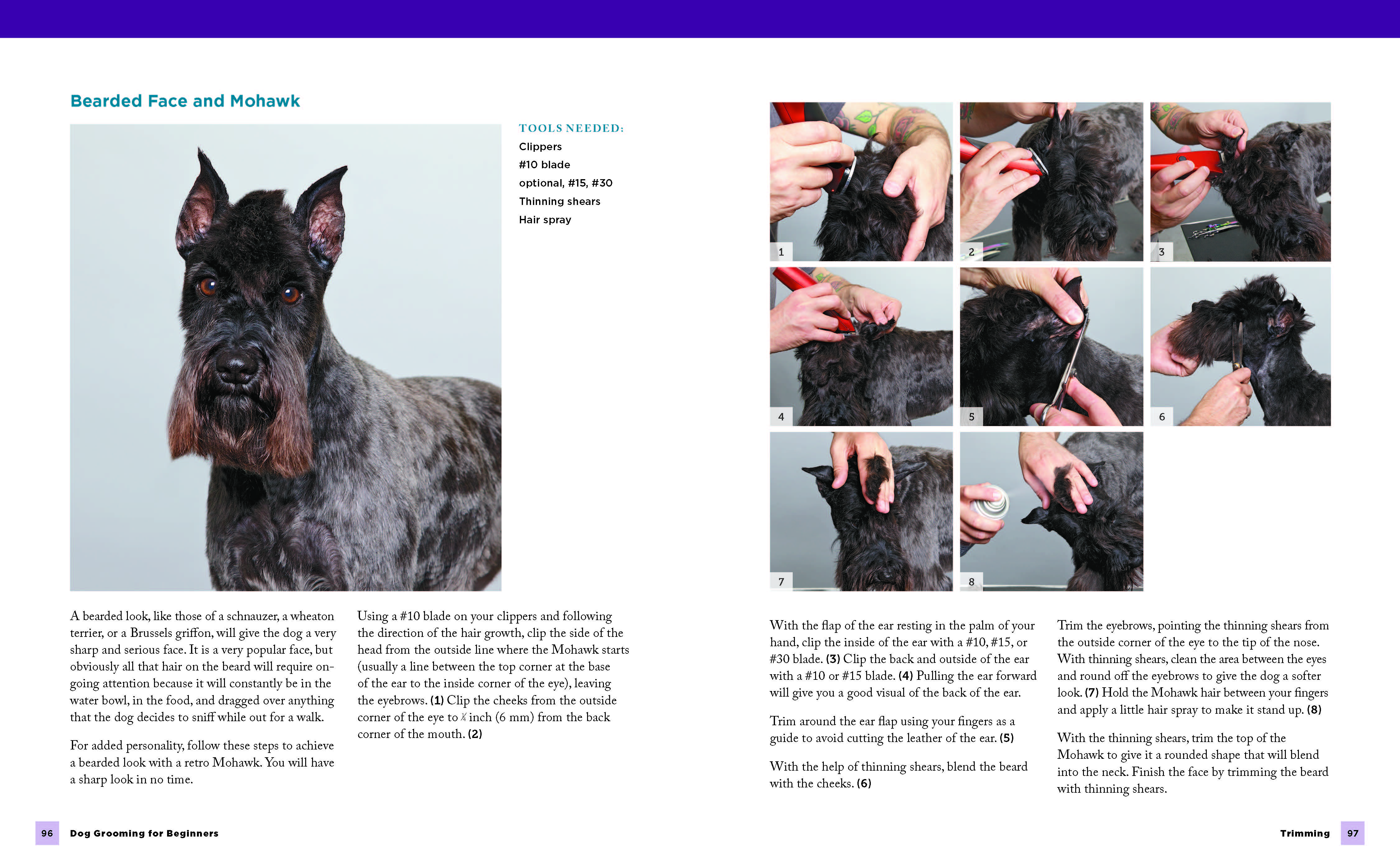 Dog Grooming Videos For Beginners at Eugene Mash blog