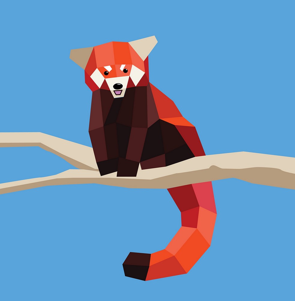 Paint By Sticker Kids: Zoo Animals, Create 10 Pictures One Sticker at a ...