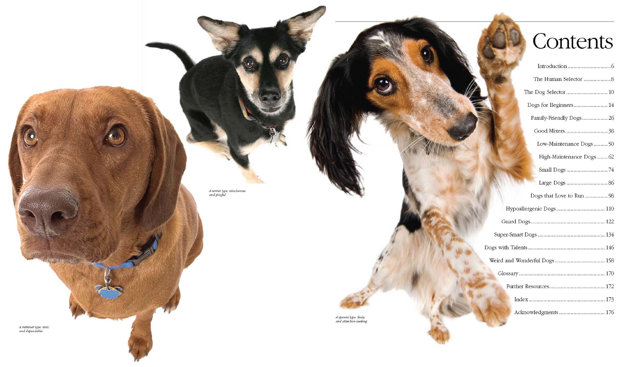 The Dog Selector, How to Choose the Right Dog for You by David Alderton ...