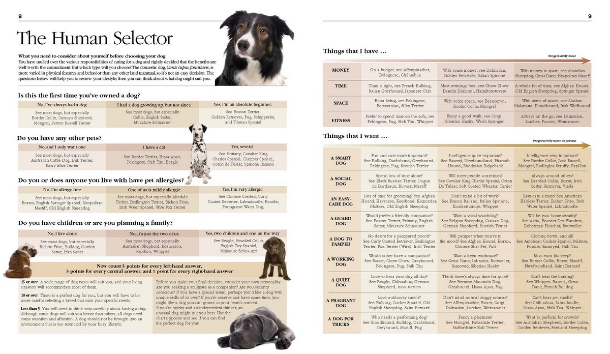 The Dog Selector, How to Choose the Right Dog for You by David Alderton ...