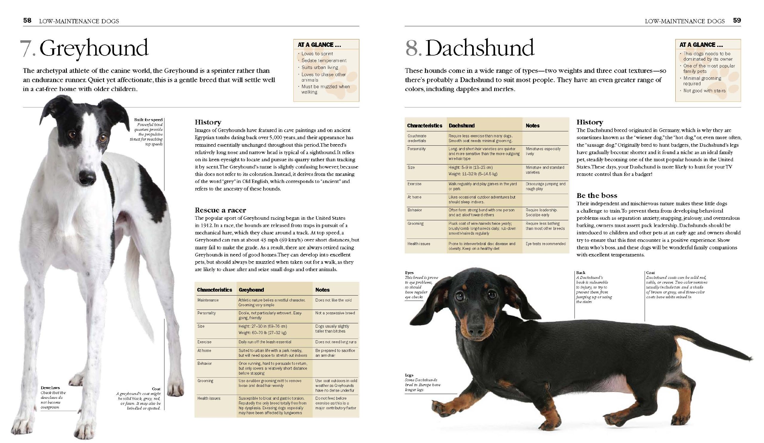 The Dog Selector, How to Choose the Right Dog for You by David Alderton ...