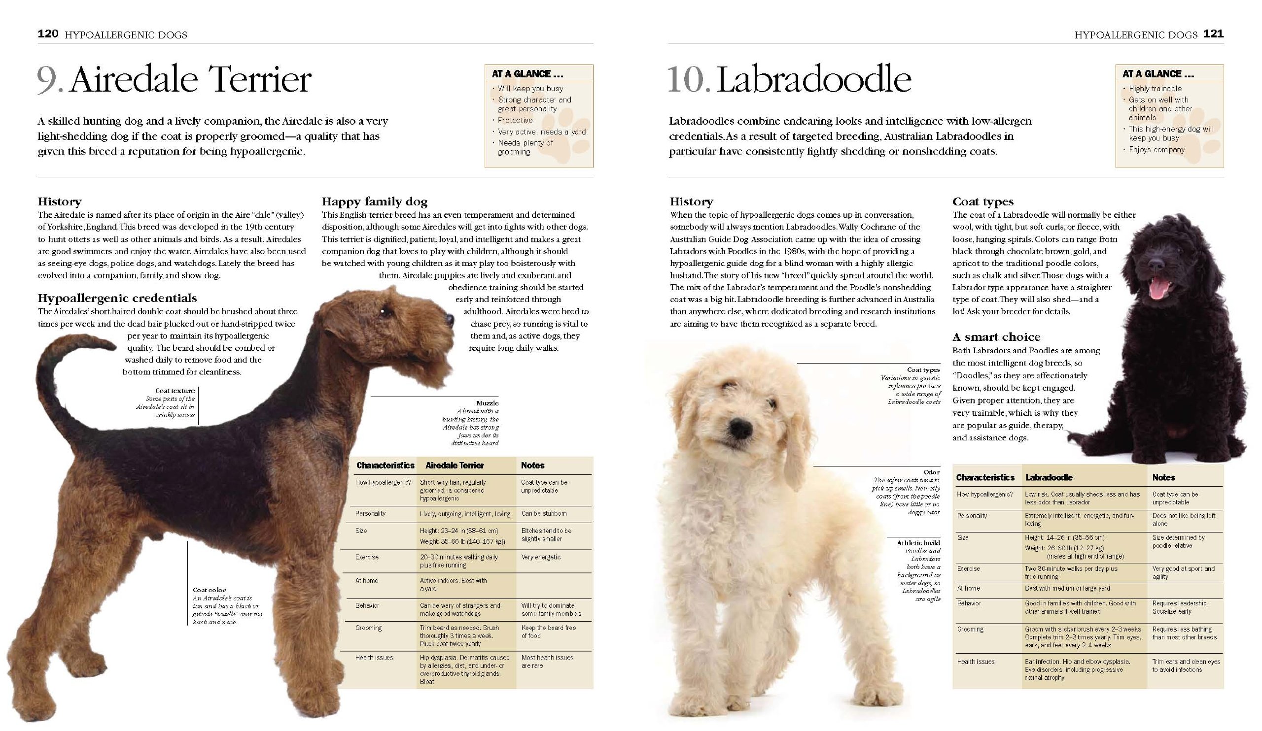 The Dog Selector, How to Choose the Right Dog for You by David Alderton ...
