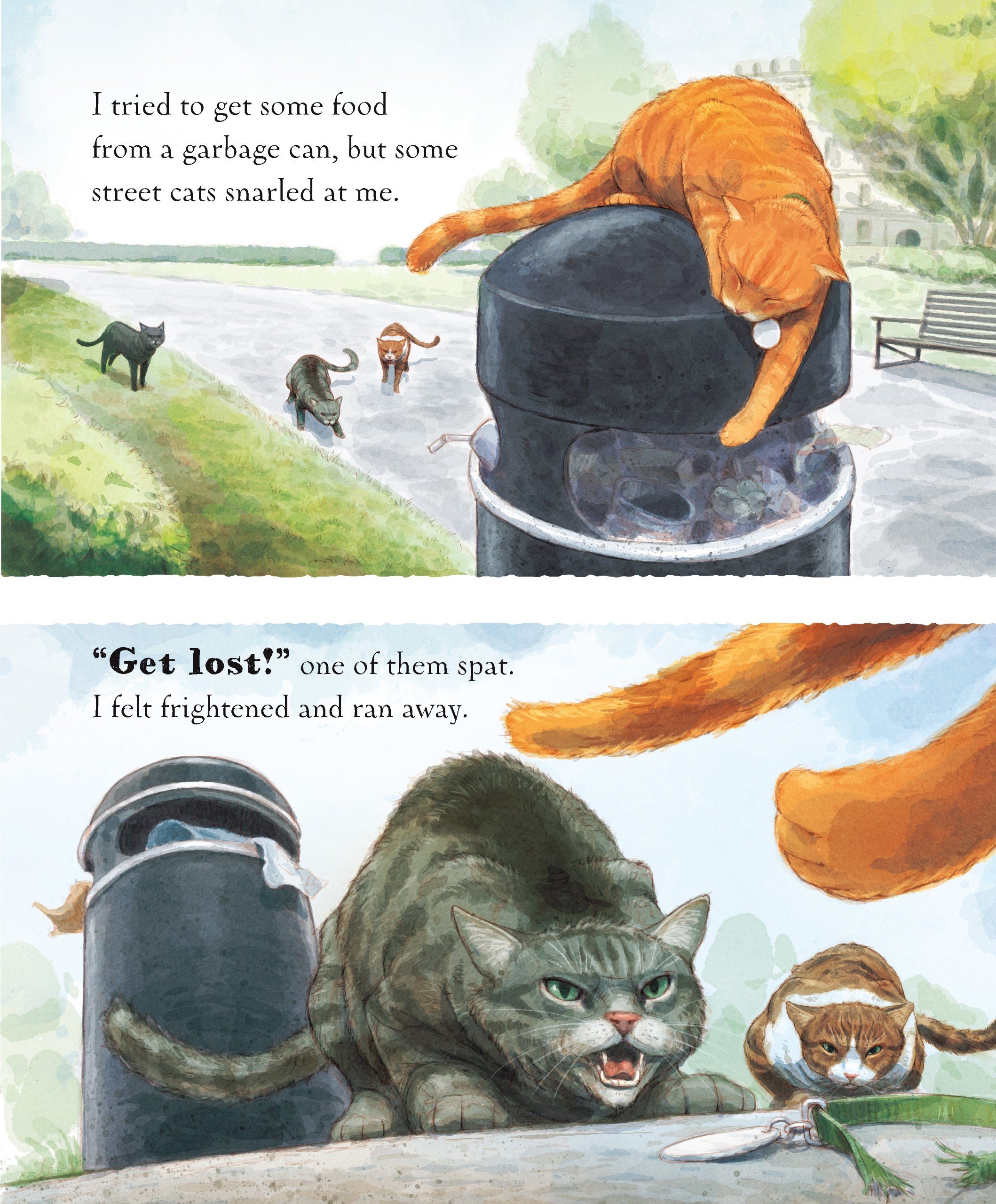 My Name Is Bob by James Bowen | 9780764167256 | Booktopia