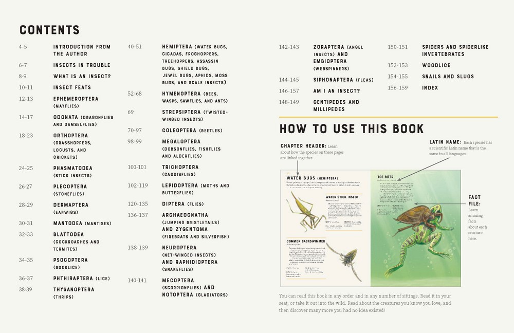 Encyclopedia of Insects, An Illustrated Guide to Nature's Most Weird ...