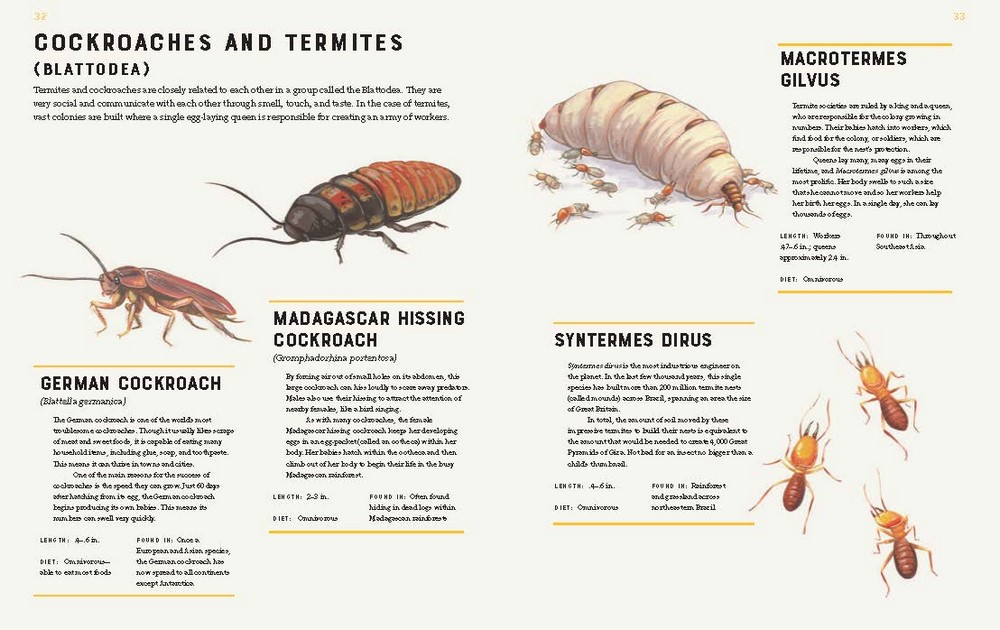 Encyclopedia of Insects, An Illustrated Guide to Nature's Most Weird ...