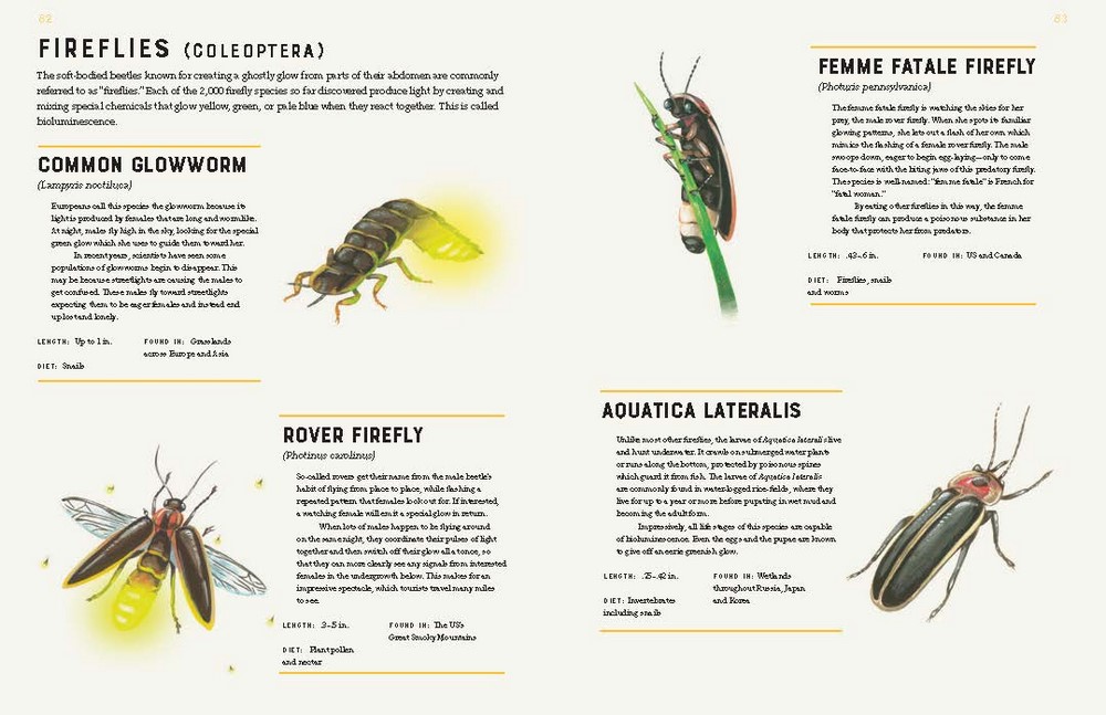 Encyclopedia of Insects, An Illustrated Guide to Nature's Most Weird ...