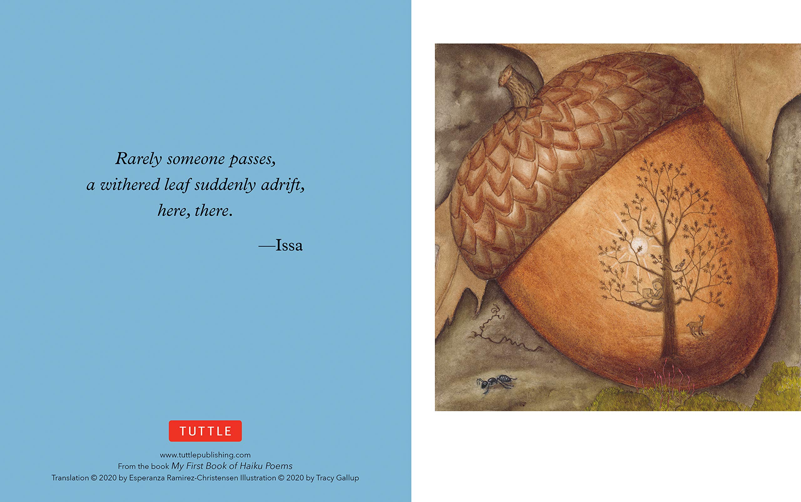 Japanese Haiku,16 Note Cards, 16 Different Blank Cards with 17 Star ...