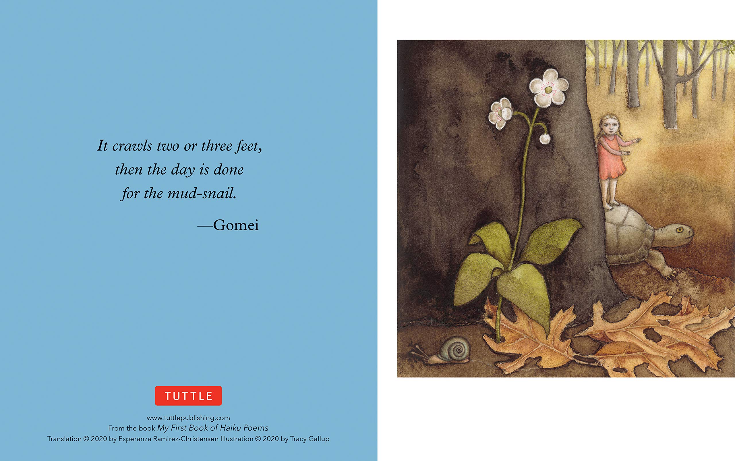 Japanese Haiku,16 Note Cards, 16 Different Blank Cards with 17 Star ...